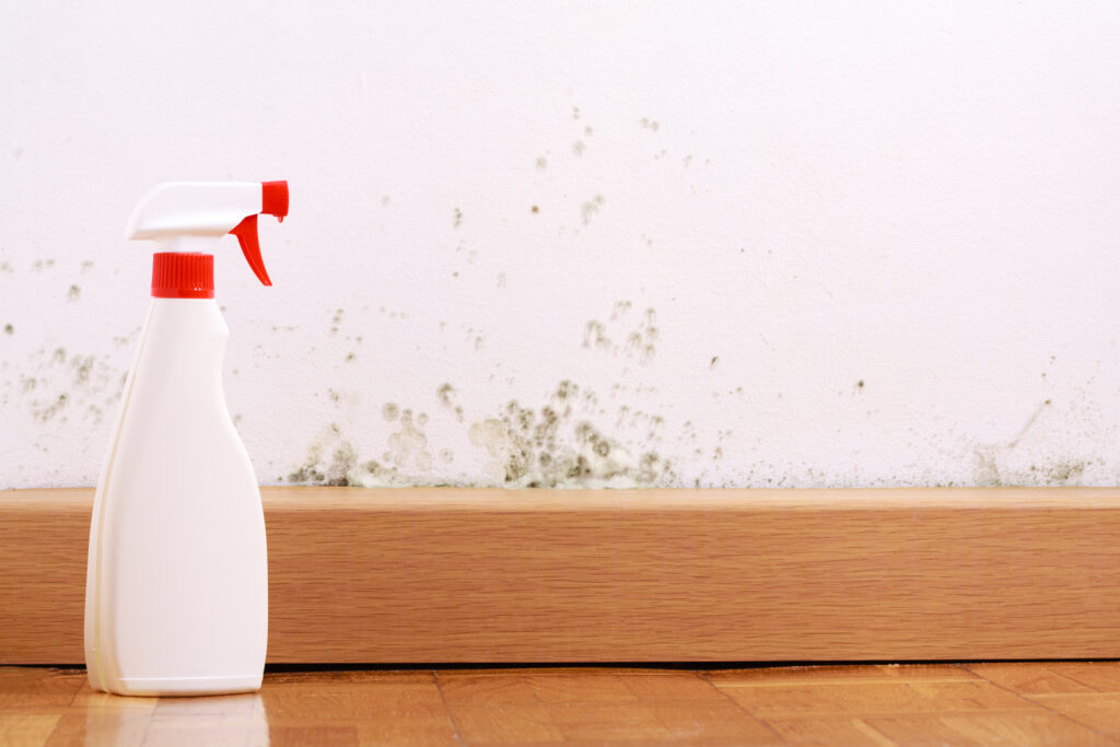 Soap Scum Vs. Mold Vs. Mildew | How To Tell The Difference